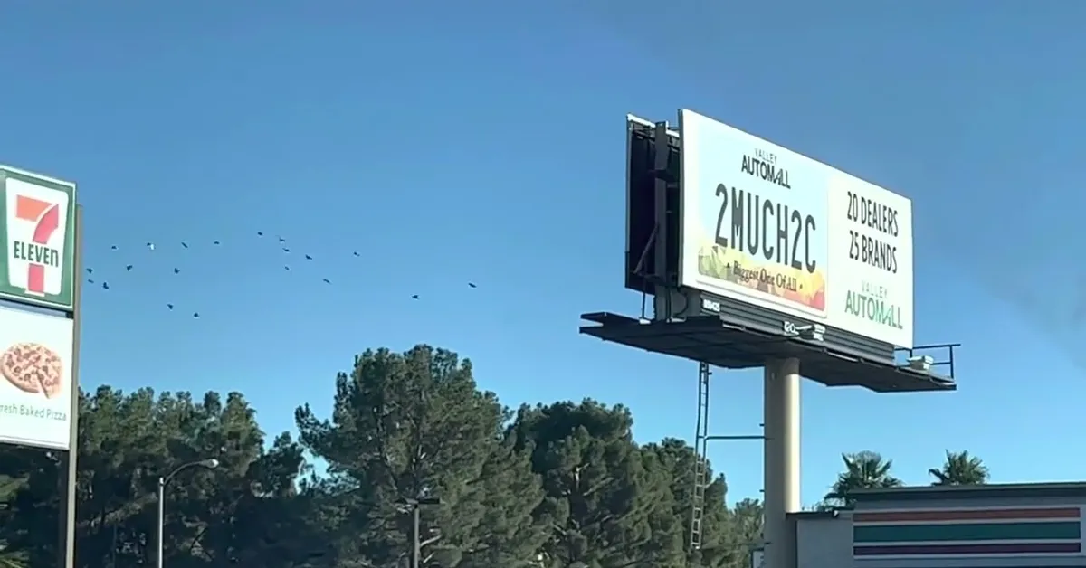 What is the Most Effective Bird Deterrent for Billboards? - Symterra